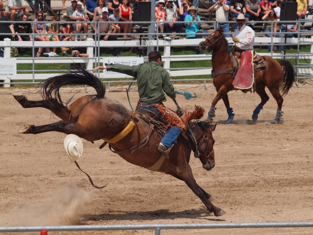 Inside Caledon, Ontario » The Orangeville Dodge Rodeo Tour